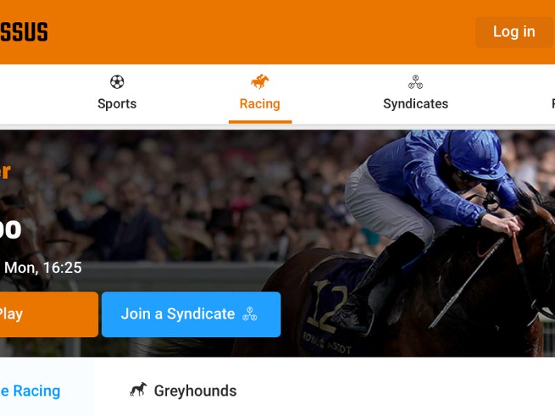 How does the Going Stick work in horse racing? : Bet4bettor