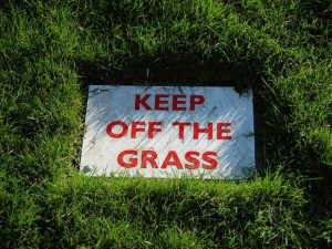 How does the Going Stick work in horse racing? : Bet4bettor